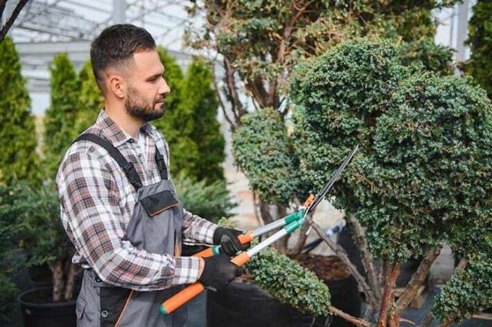 How to Start a Landscaping Business ? 13 Steps Guide - Invoice Fly