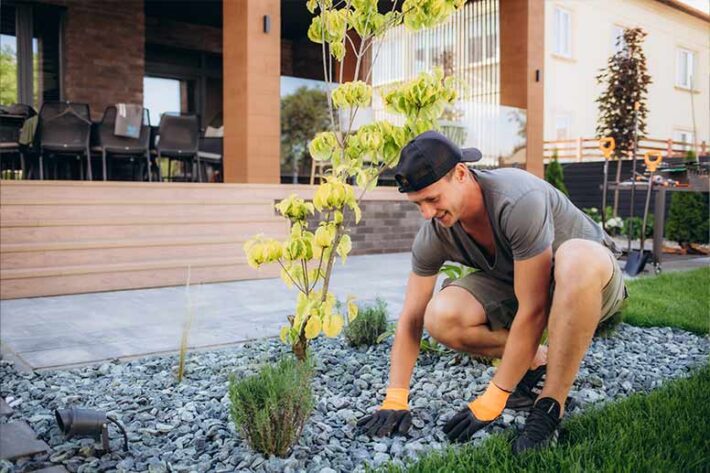 Landscaping Insurance 2025: Costs, Coverage & How to Get It