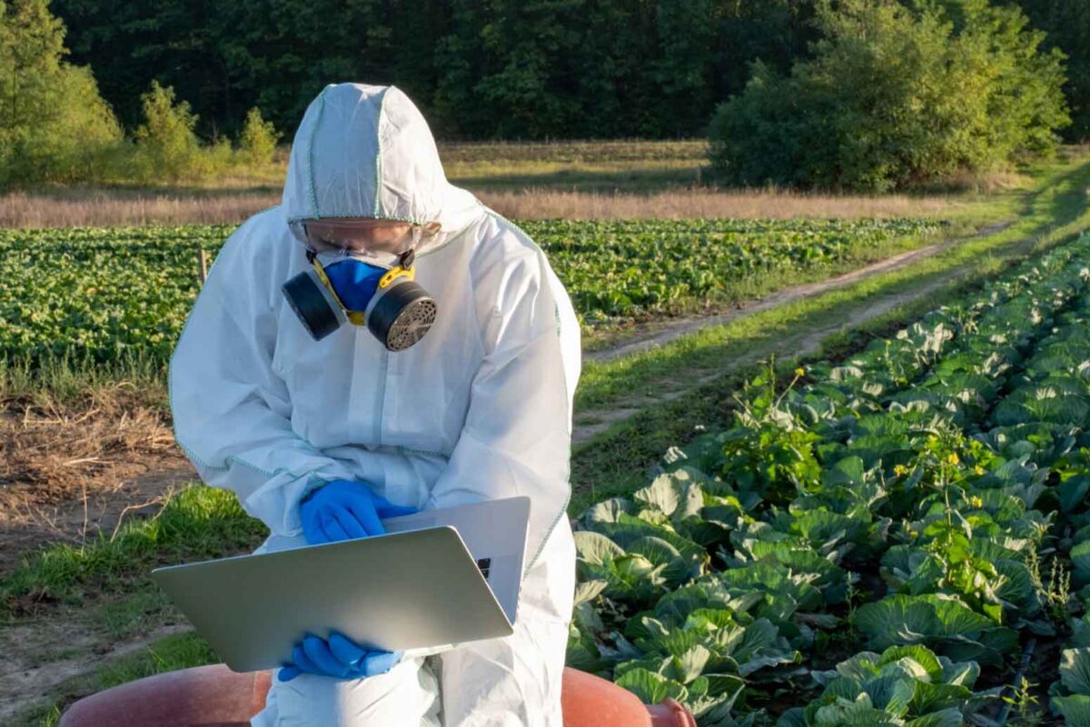 How to Get a Pest Control License in the U.S. by State