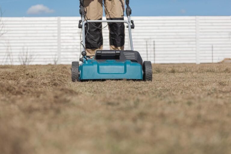 Best Landscaping Tools: Essential Equipment Guide 2025 – Invoice Fly