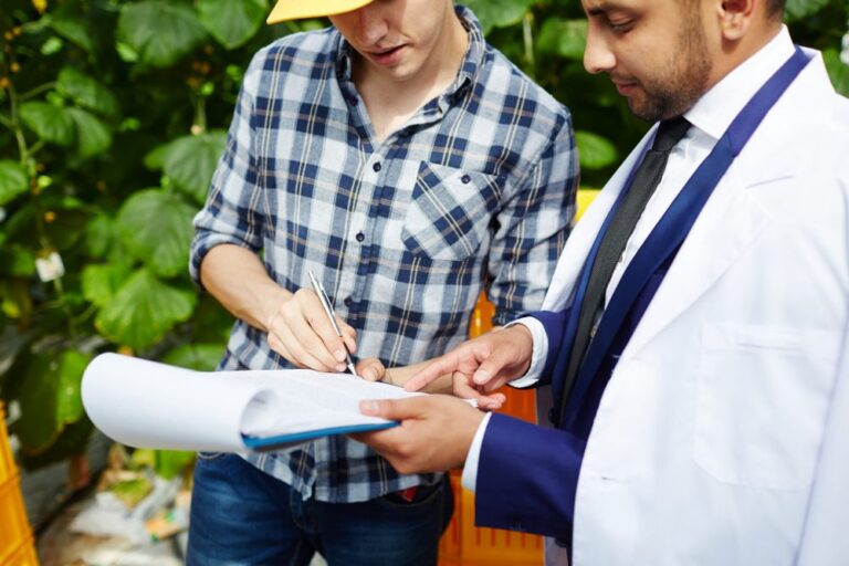 How to Use a Statement of Work (SOW) in Business – Invoice Fly